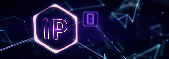 Private vs Public Fixed IP IoT SIM